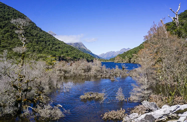 Lake Mackenzie to the Divide: Routeburn Track Day 3 - See the South ...