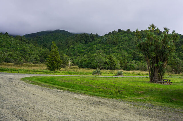 The Big Tree Walk, Peel Forest - See the South Island NZ Travel Blog