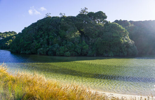Bathing Beach, Stewart Island - See the South Island NZ Travel Blog