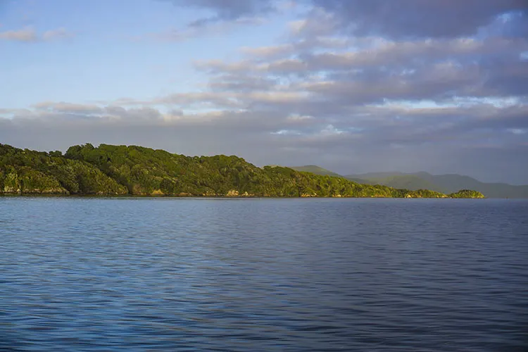 A Trip to Ulva Island - See the South Island NZ Travel Blog