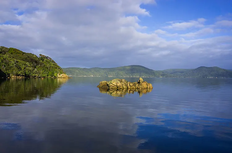 A Trip to Ulva Island - See the South Island NZ Travel Blog