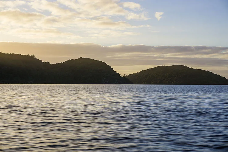 A Trip to Ulva Island - See the South Island NZ Travel Blog