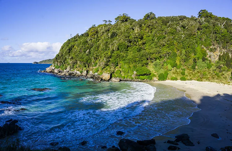 Hiking the Horseshoe Point Track, Stewart Island - See the South Island ...