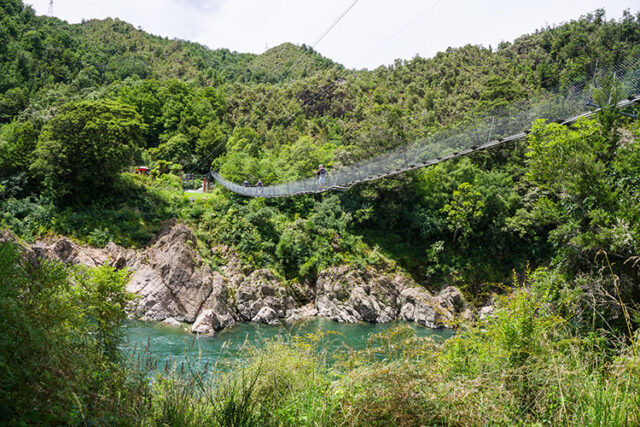 A Scenic Drive Through the Buller Gorge: The Best Places to Stop - See ...