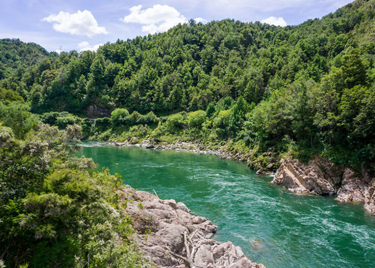 A Scenic Drive Through the Buller Gorge: The Best Places to Stop - See ...
