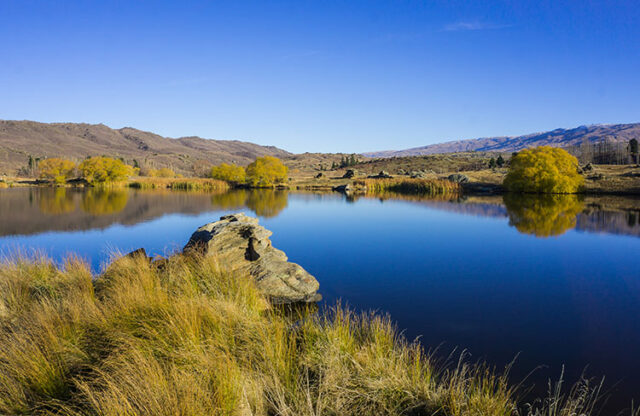 20 of the Best Things to Do in Central Otago - See the South Island NZ ...