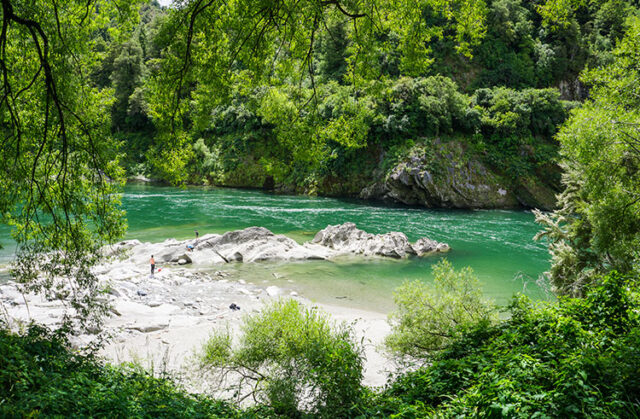 A Scenic Drive Through the Buller Gorge: The Best Places to Stop - See ...