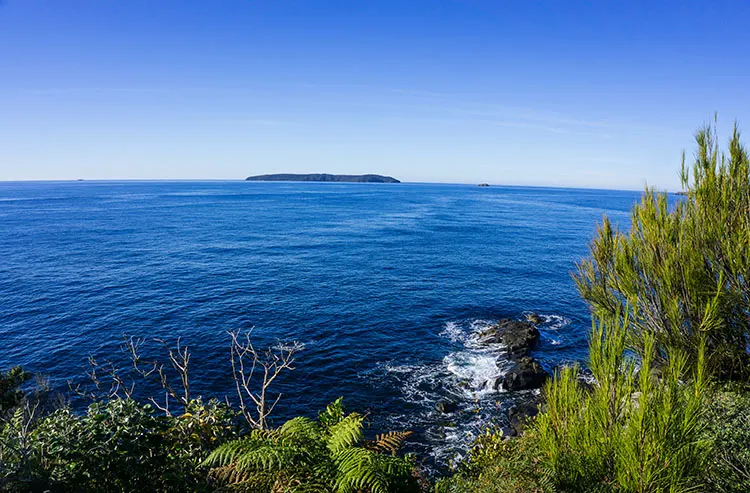 Hiking the Ackers Point Lighthouse Track, Stewart Island - See the ...
