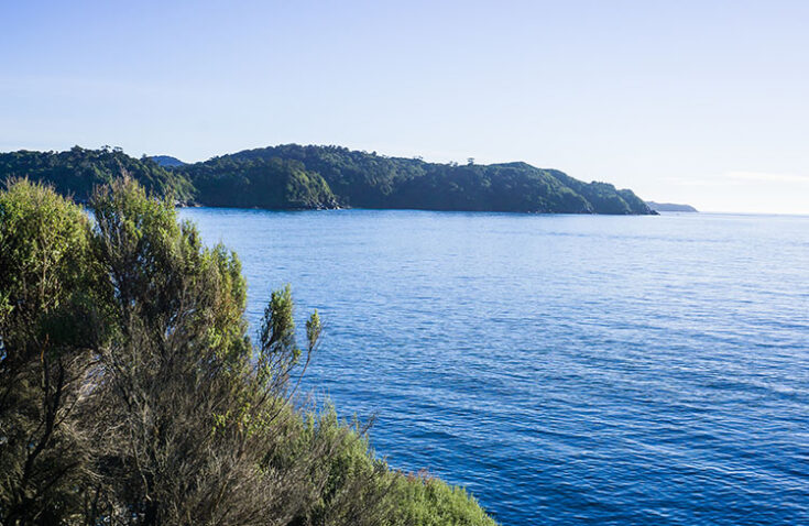 Hiking the Ackers Point Lighthouse Track, Stewart Island - See the ...
