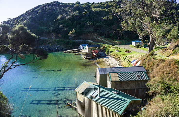 Hiking the Ackers Point Lighthouse Track, Stewart Island - See the ...