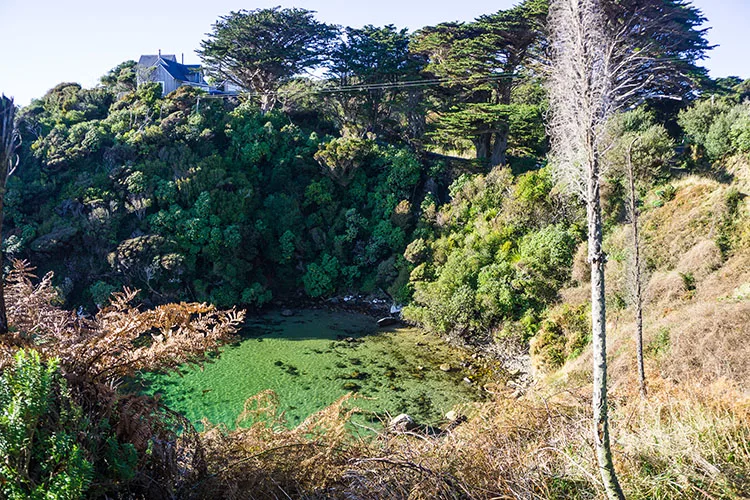 Hiking the Ackers Point Lighthouse Track, Stewart Island - See the ...