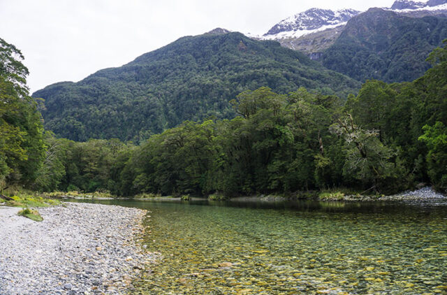 Milford Track Day 2: Clinton Hut to Mintaro Hut - See the South Island ...