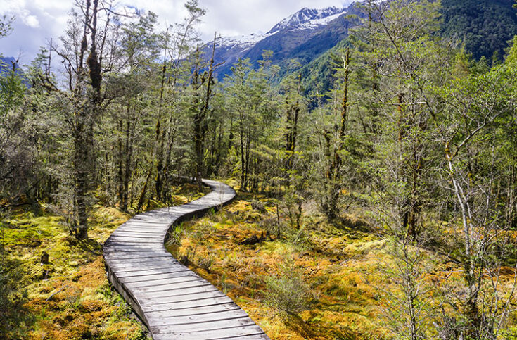 Milford Track Day 1: Te Anau to Clinton Hut - See the South Island NZ ...