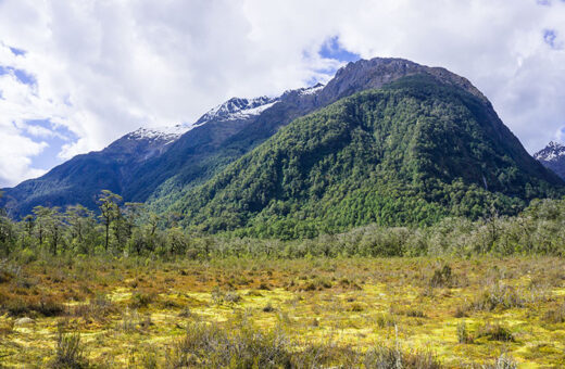 Milford Track Day 1: Te Anau to Clinton Hut - See the South Island NZ ...