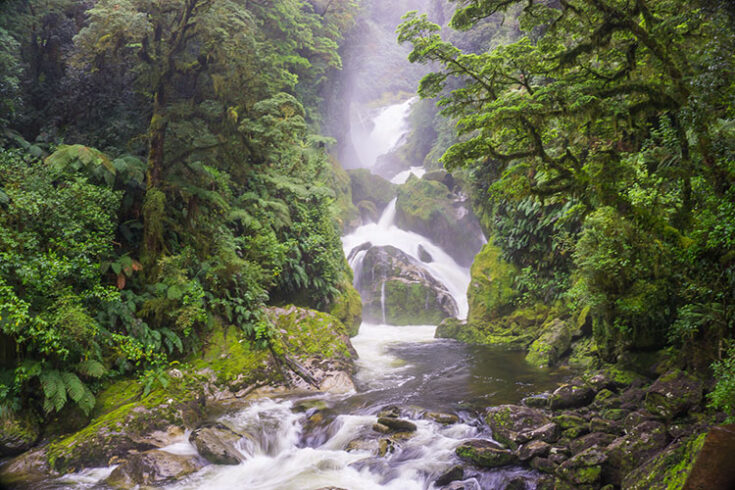 11 of the Best Waterfalls in Fiordland National Park - See the South ...
