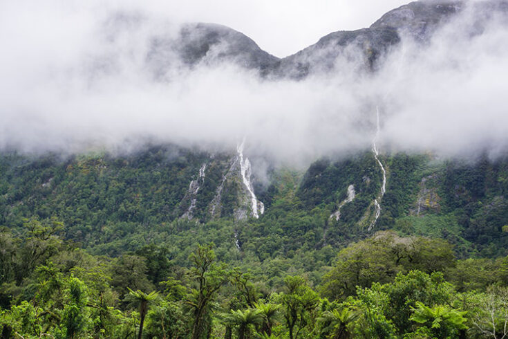 11 of the Best Waterfalls in Fiordland National Park - See the South ...