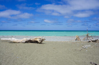 Timaru Travel Guide: Tips for a Fun Trip to Timaru - See the South ...
