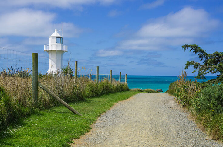 14 of the Best Things to Do in Timaru - See the South Island NZ Travel Blog