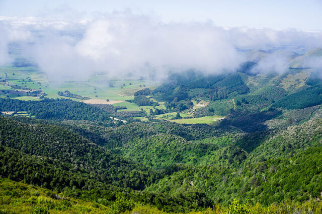 8 of the Best Things to Do in Geraldine - See the South Island NZ ...