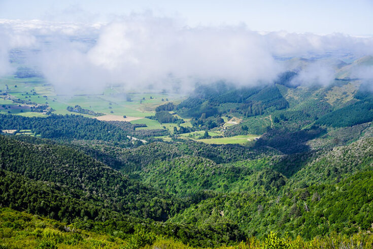 8 of the Best Things to Do in Geraldine - See the South Island NZ ...
