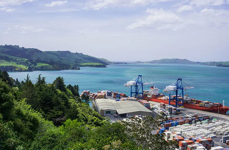 6 of the Best Things to Do in Port Chalmers, Dunedin - See the South ...
