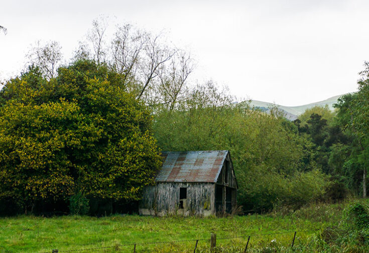 8 of the Best Things to Do in Geraldine - See the South Island NZ ...