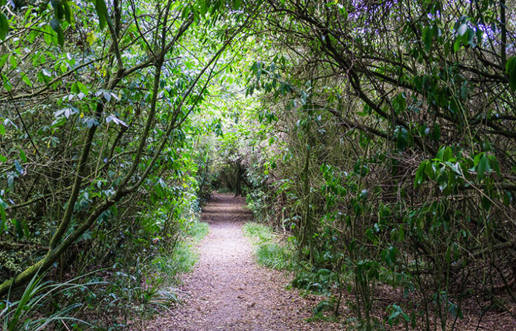 8 of the Best Things to Do in Geraldine - See the South Island NZ ...