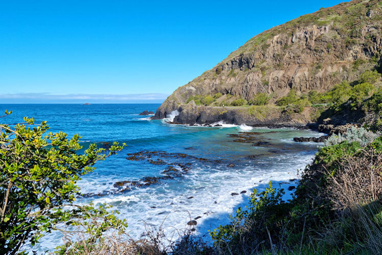 Second Beach, Dunedin - See the South Island NZ Travel Blog
