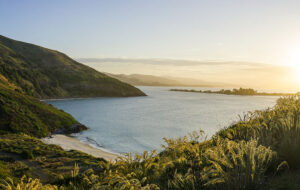 30 Stunning Viewpoints in Dunedin - See the South Island NZ Travel Blog