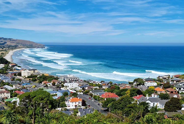 10 of the Best Things to Do in St Clair, Dunedin - See the South Island ...