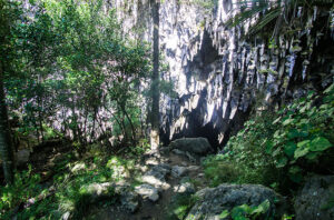 Top 12 Caves in the South Island, New Zealand - See the South Island NZ ...