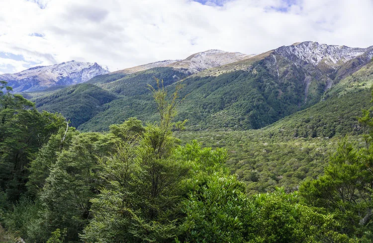 Haast Pass Lookout Track - See the South Island NZ Travel Blog