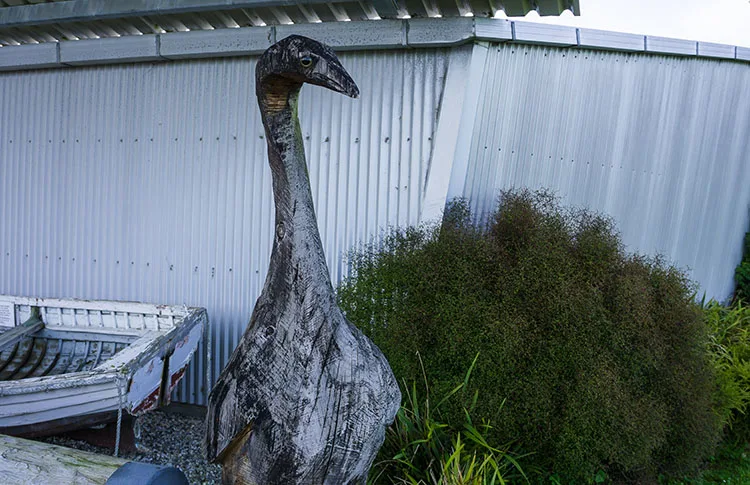 10 of the Best Things to Do in Owaka - See the South Island NZ Travel Blog