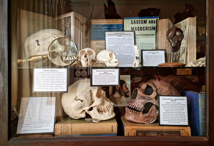 7 of the Best Museums in Dunedin - See the South Island NZ Travel Blog
