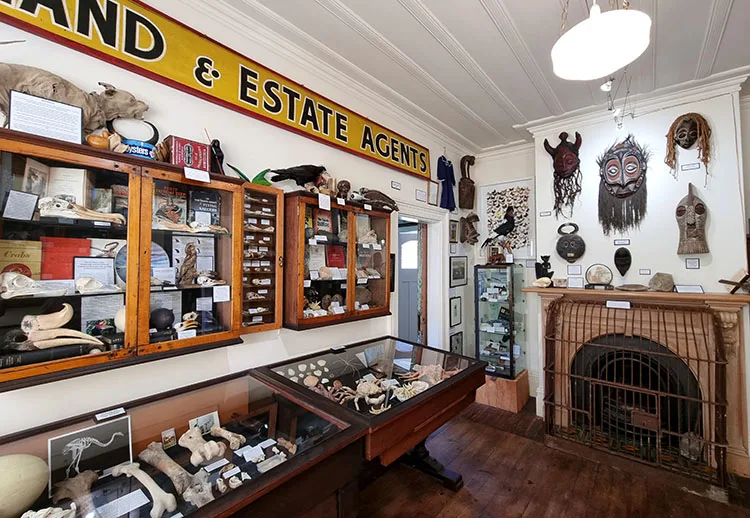 7 of the Best Museums in Dunedin - See the South Island NZ Travel Blog