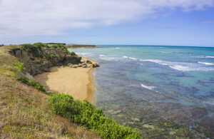 5 of the Best Things to Do in Kakanui - See the South Island NZ Travel Blog
