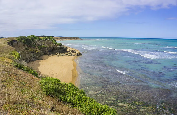 5 of the Best Things to Do in Kakanui - See the South Island NZ Travel Blog